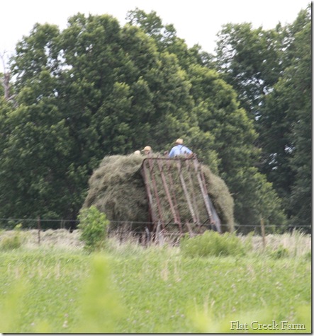 Flat Creek Farm: Welcome to Amish Country